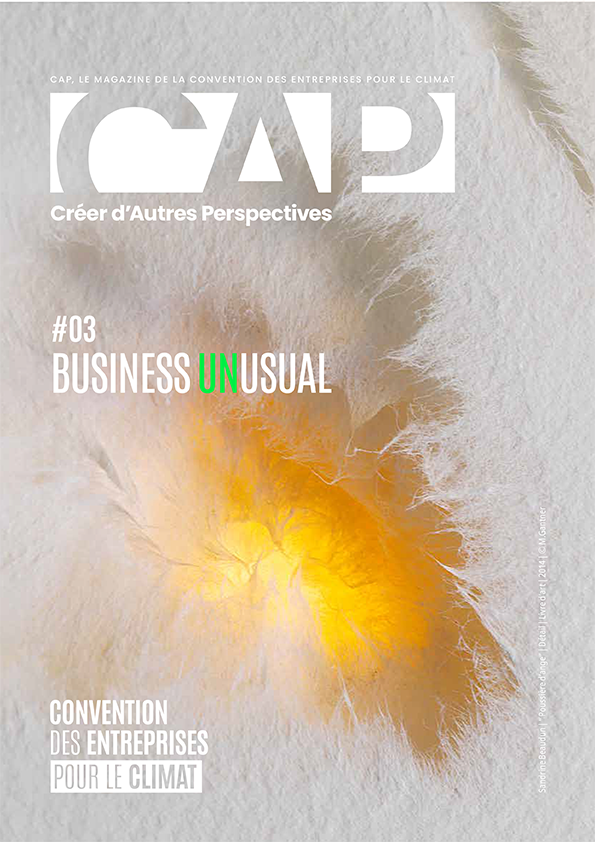 CAP 3 Business unusual